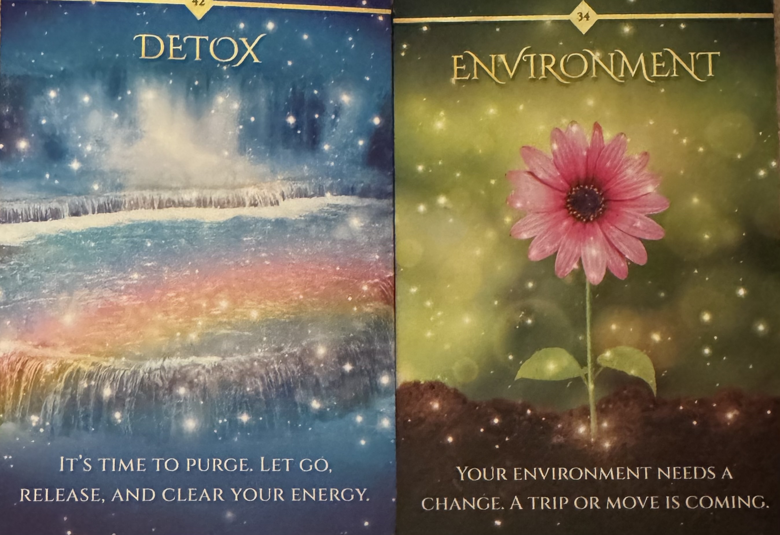 Cards For The Week Of 12/28/2025 – 1/3/2026 | Pull Up A Toadstool